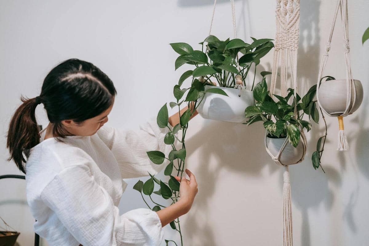 Biophilia Effect dan Rasa Tenang Dekat Tanaman | IDN Times