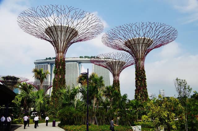 Gardens by the Bay: Lokasi, Rute, Jam Buka, HTM, dan Tips | IDN Times