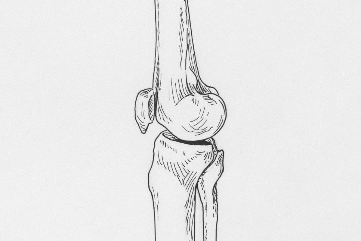 6 Macam Sendi Gerak pada Manusia yang Perlu Kamu Tahu! | IDN Times Jateng