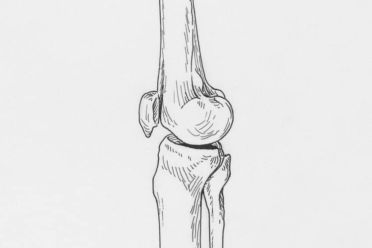 6 Macam Sendi Gerak pada Manusia yang Perlu Kamu Tahu! | IDN Times Jateng