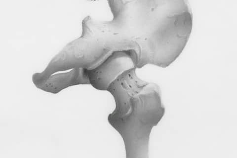 6 Macam Sendi Gerak pada Manusia yang Perlu Kamu Tahu! | IDN Times Jateng