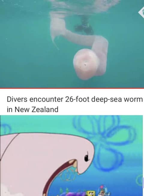 7 Meme Cacing Besar Alaska, Monster Raksasa dalam SpongeBob | IDN Times