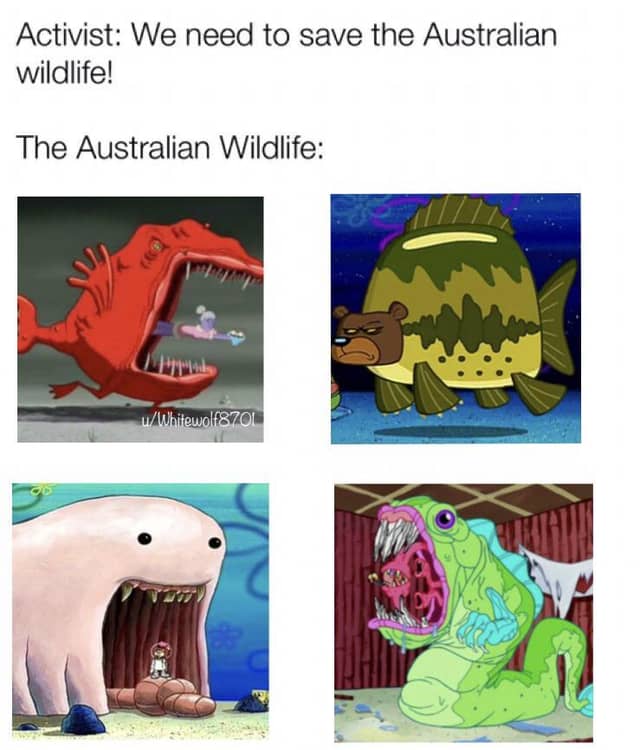 7 Meme Cacing Besar Alaska, Monster Raksasa dalam SpongeBob | IDN Times