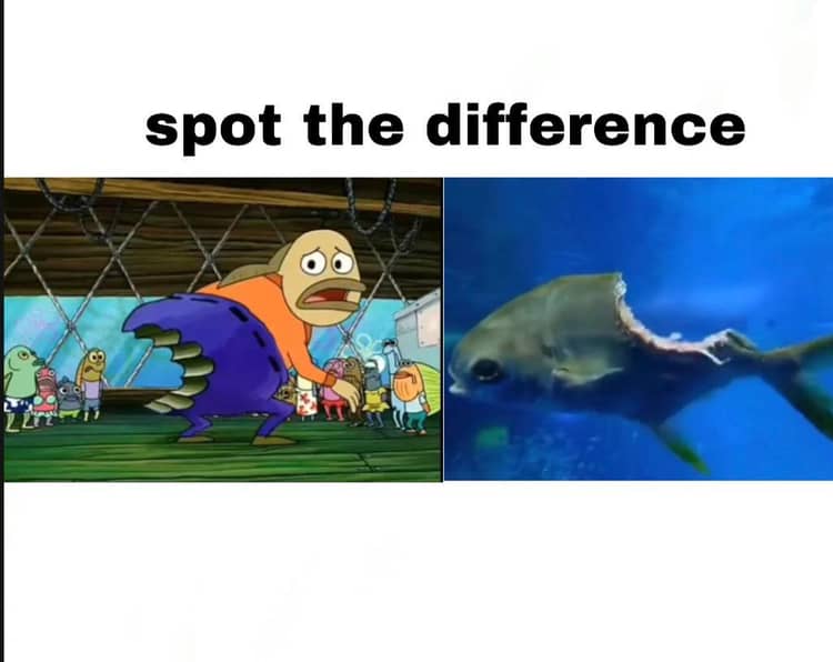 7 Meme Cacing Besar Alaska, Monster Raksasa dalam SpongeBob | IDN Times