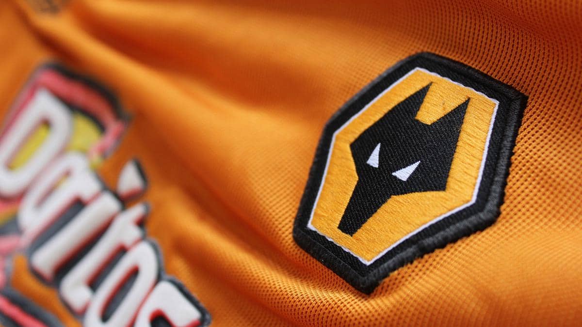 7 Pemain Baru di Skuad Wolverhampton Wanderers 2025/2026 | IDN Times