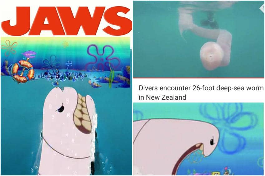 7 Meme Cacing Besar Alaska, Monster Raksasa dalam SpongeBob | IDN Times