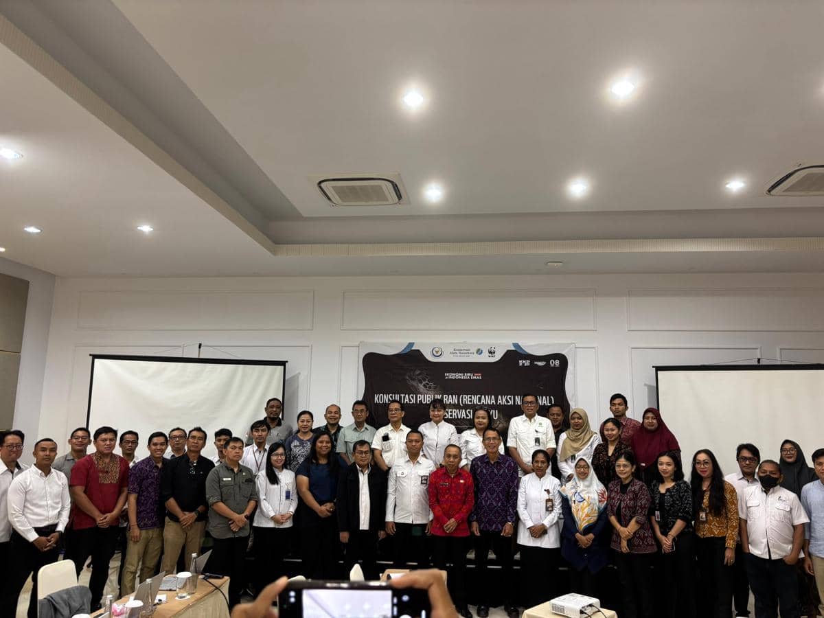 Pemerintah Susun RAN 2025-2029 untuk Lindungi Penyu dan Cetacea | IDN Times