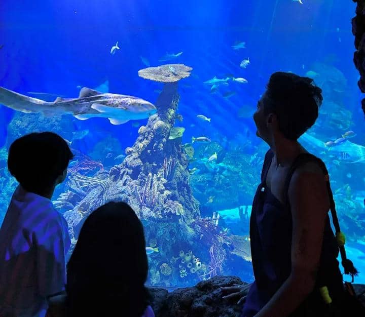 5 Tempat Wisata Hewan Akuatik di Bali untuk Habiskan Liburan Sekolah ...