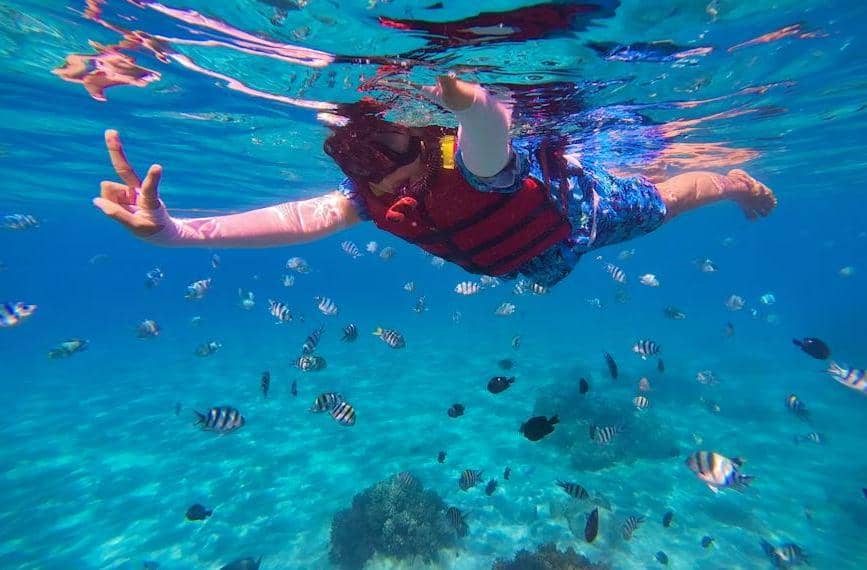 Pulau Pari, Kepulauan Seribu: Lokasi, Fasilitas, dan Aktivitas Seru ...