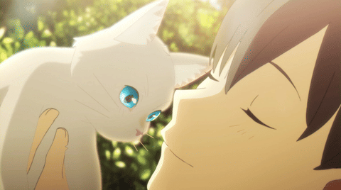 15 Anime Kucing Paling Menghibur: Doraemon hingga A Whisker Away ...