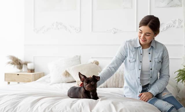 5 Tips Memilih Penginapan Pet friendly yang Aman dan Nyaman | IDN Times