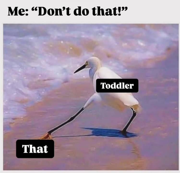 Meme Bocil dan Dramanya | IDN Times