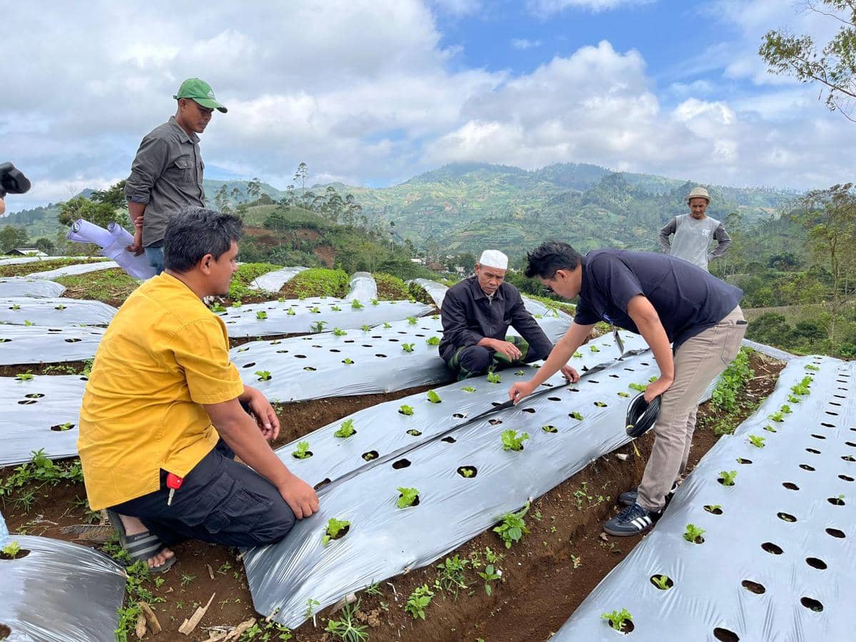 Tak Cuma Cetak Rupiah, Kini Peruri Terjun ke Teknologi Pertanian | IDN ...