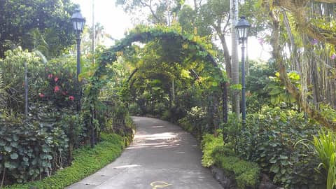 Singapore Botanic Gardens: Lokasi, Rute, Jam Buka, HTM, dan Tips | IDN ...