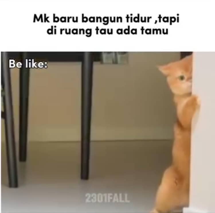 7 Meme ketika Ada Tamu di Rumah, Caper atau Ngumpet? | IDN Times