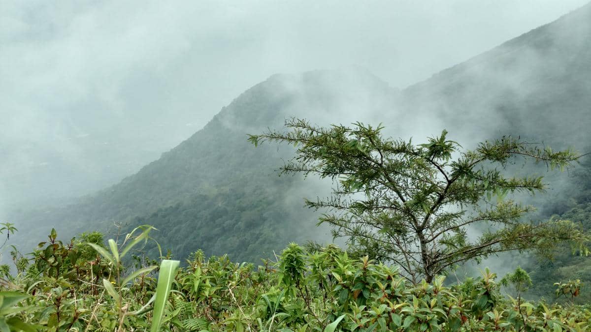 5 Gunung Solo Hiking Jawa Timur yang Cocok untuk Pemula | IDN Times