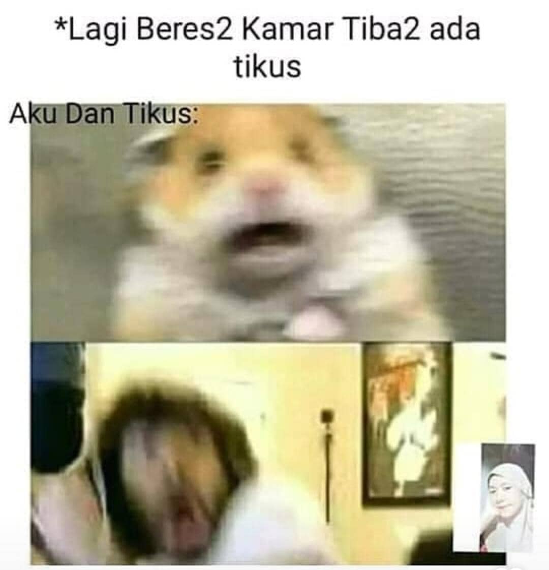 Meme Kaget Gara-Gara Hal Kocak | IDN Times