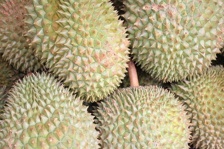 5 Buah Berduri Unik yang Sering Dimakan, Salah Satunya Durian dan ...