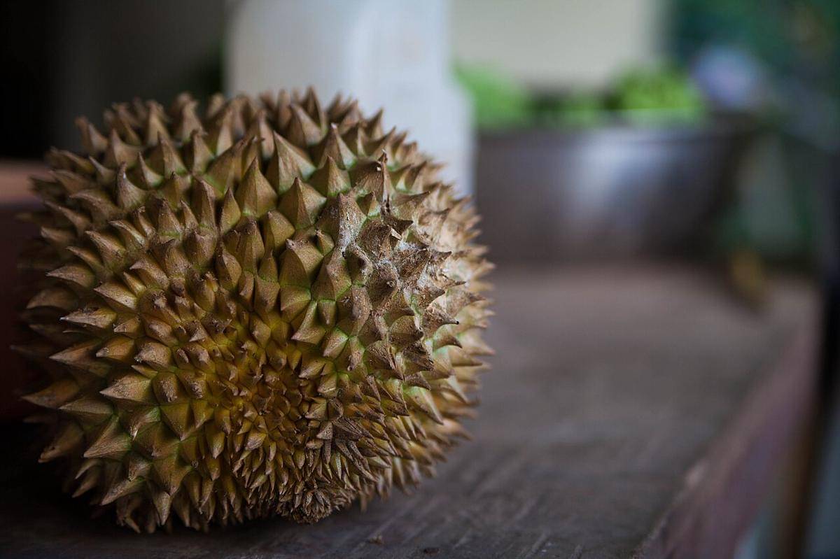 5 Buah Berduri Unik yang Sering Dimakan, Salah Satunya Durian dan Sirsak! | IDN Times