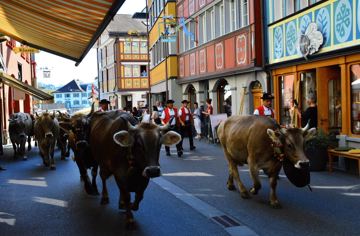 6 Fakta Swiss, Negara yang Kaya akan Budaya dan Inovasi | IDN Times