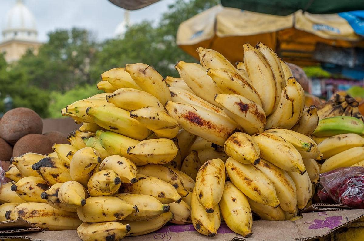 5 Buah Warna Kuning dengan Gizi Berlimpah, Bisa Memperlancar Pencernaan ...