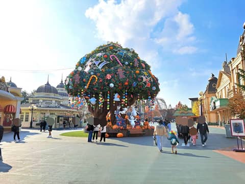 Everland Theme Park, Korea Selatan: Lokasi, HTM, dan Tips Wisata | IDN ...
