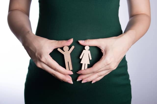 Mengapa Topik Kesetaraan Gender yang Dibahas Laki-Laki Selalu Sama ...