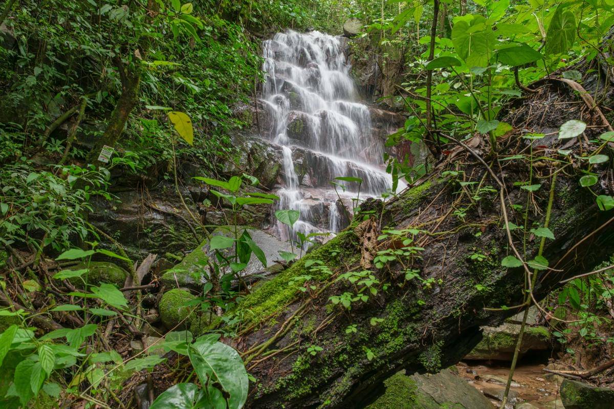 5 Alasan Bukit Lincing Ramah bagi Pendaki Pemula | IDN Times Jatim