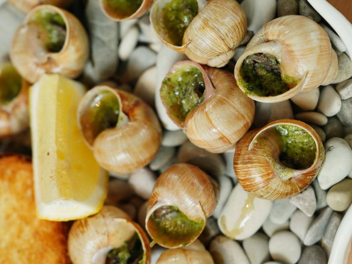 4 Fakta Escargot, Olahan Siput Asal Prancis yang Unik | IDN Times