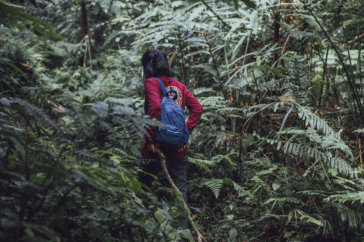 5 Tips Menghadapi Lintah dan Pacet saat Mendaki Gunung | IDN Times