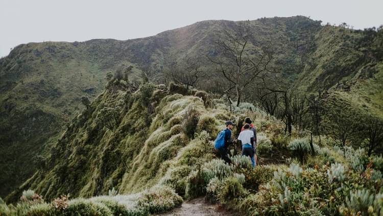 Apakah Gunung Merbabu Cocok untuk Pemula? | IDN Times