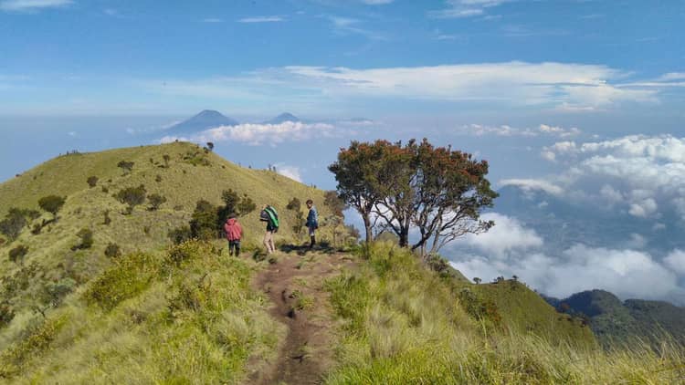 Apakah Gunung Merbabu Cocok untuk Pemula? | IDN Times