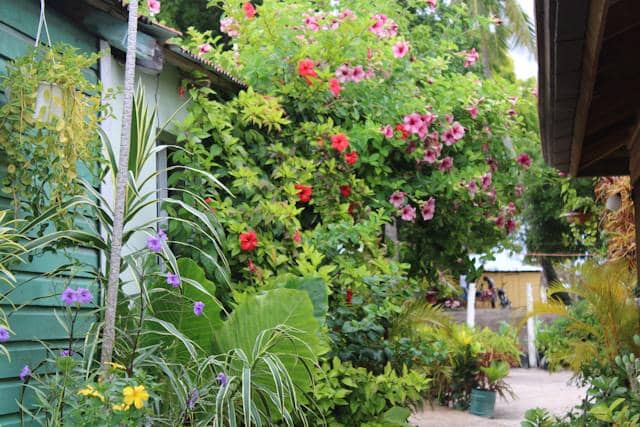 7 Cara Menyulap Halaman Rumah Jadi Taman Bunga yang Memikat | IDN Times