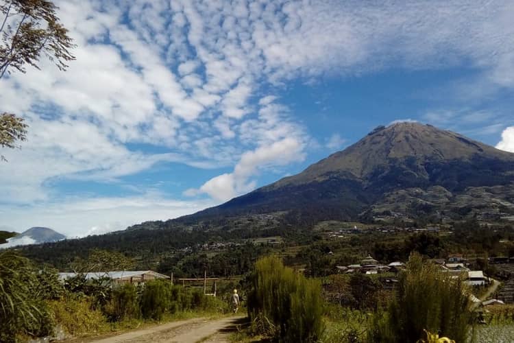 5 Perbedaan Gunung Sindoro dan Sumbing, Si Kembar di Jawa Tengah | IDN ...