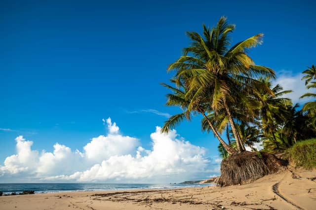 10 Obyek Wisata Pantai Terkenal di Cilacap, Rekomendasi Untuk Liburan ...