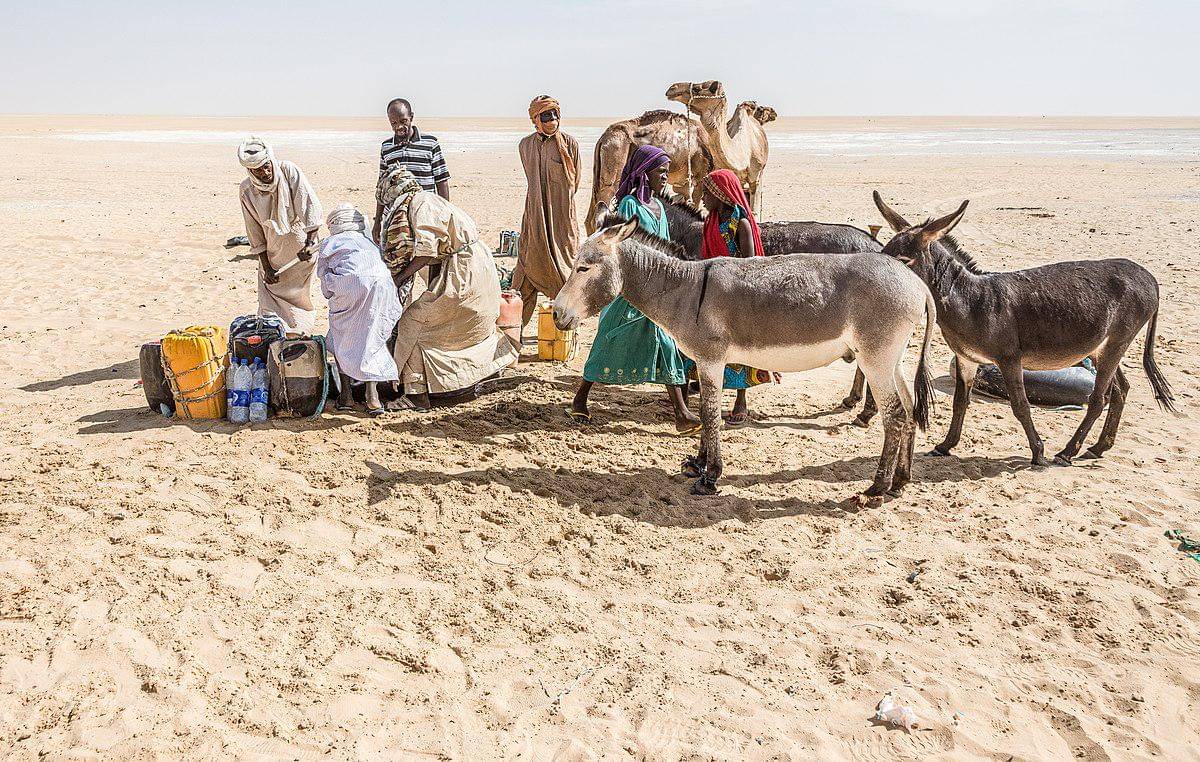 6 Fakta Chad, Negara Terkurung Daratan Terbesar di Afrika | IDN Times