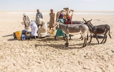 6 Fakta Chad, Negara Terkurung Daratan Terbesar di Afrika | IDN Times