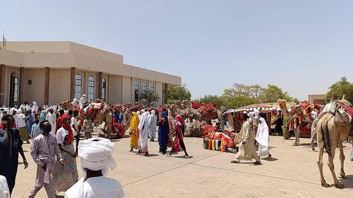 6 Fakta Chad, Negara Terkurung Daratan Terbesar di Afrika | IDN Times