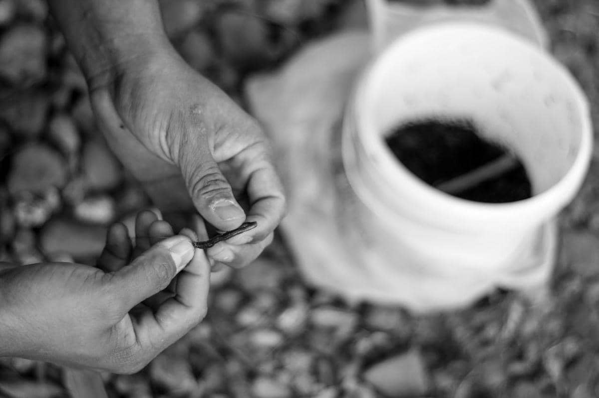 7 Penyebab Cacing Muncul di Kamar Mandi, Jarang Disadari | IDN Times Bali