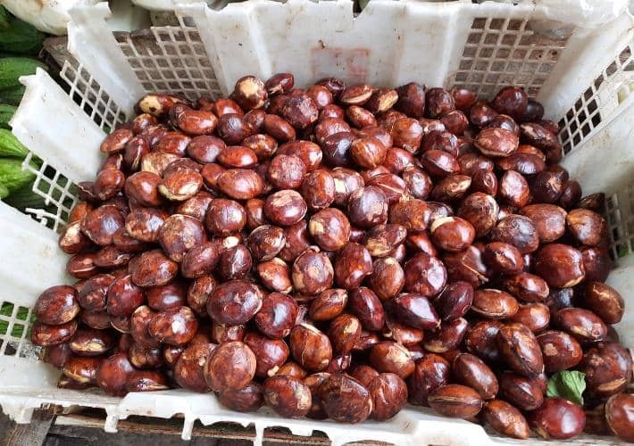 Resep Jengkol Balado yang Empuk, Gurih, dan Pedasnya Bikin Nagih! | IDN ...