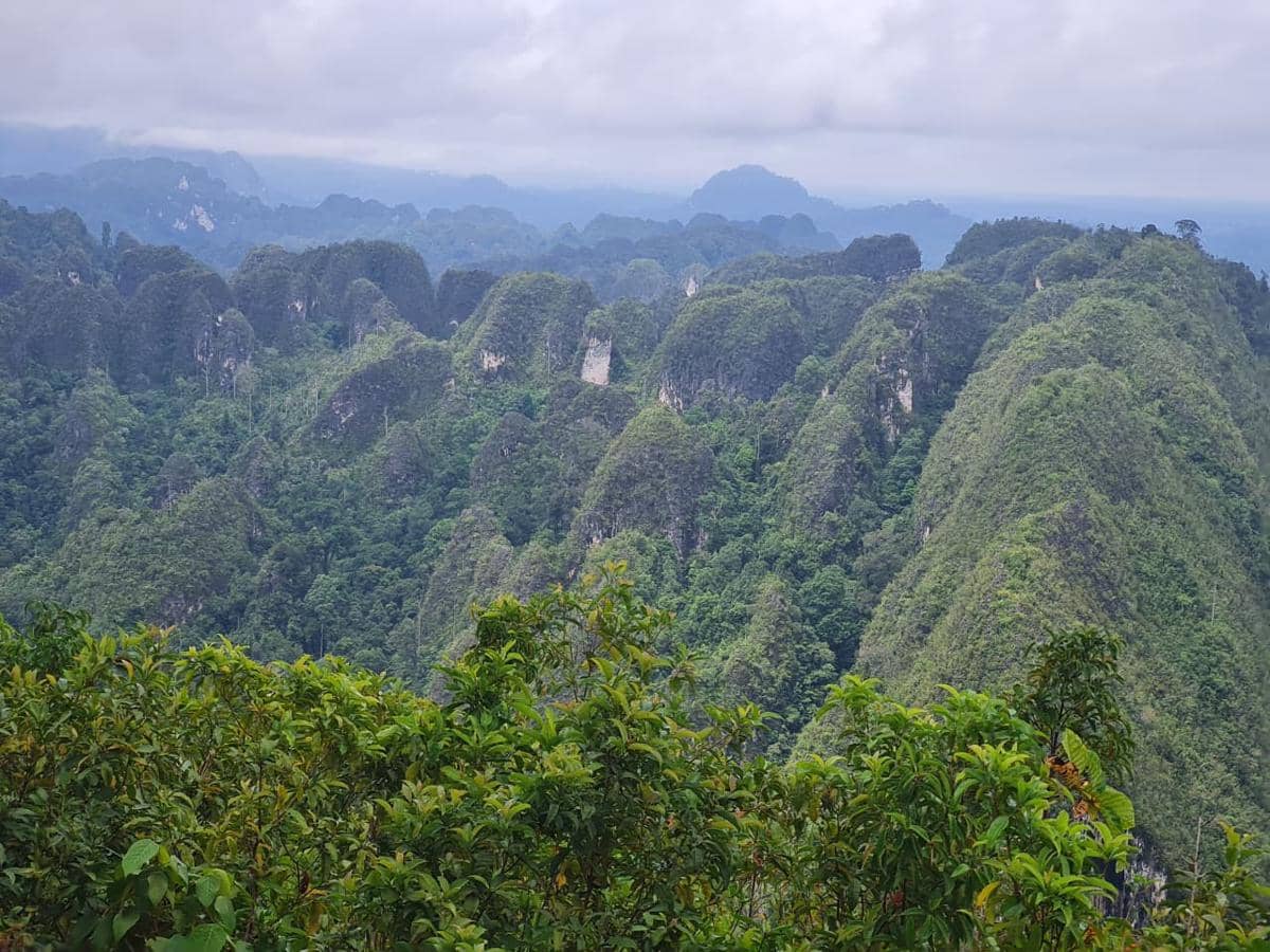 Kaltim Segera Punya Geopark Pertama, Deklarasi Dimulai dari Merabu ...