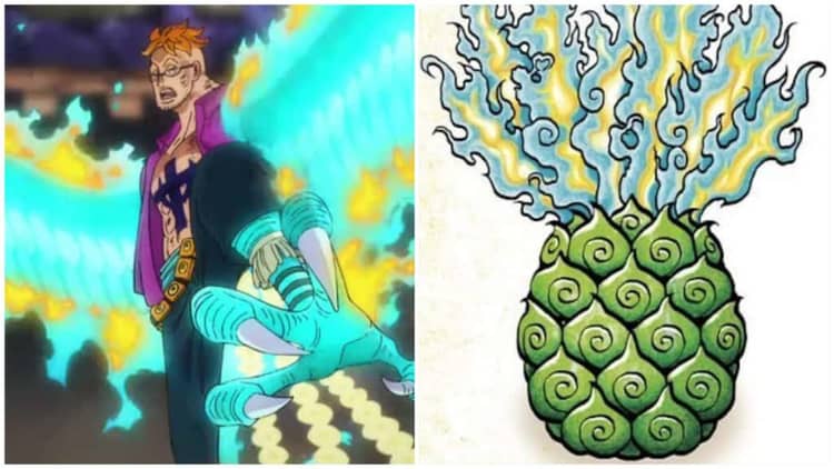 6 Fakta Tori Tori no Mi, Model Phoenix One Piece! Buah Iblisnya Marco ...