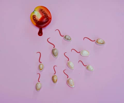 4 Hormon Menstruasi yang Mempengaruhi Folikel dan Dinding Rahim | IDN Times
