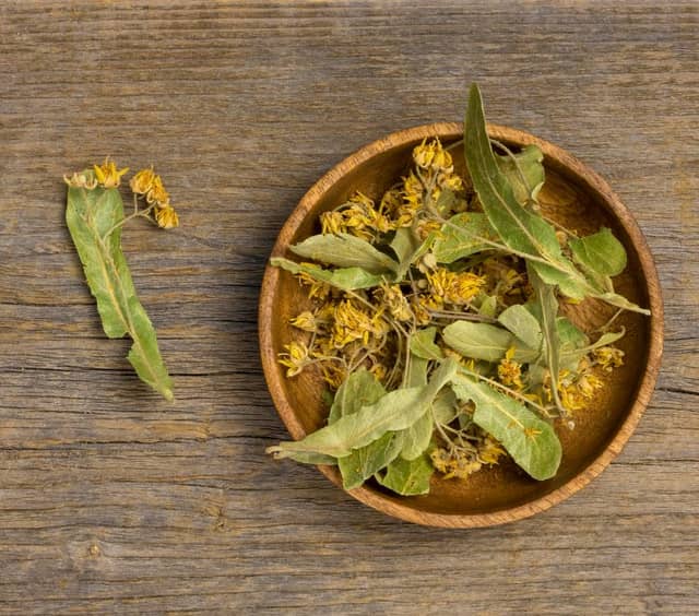 7 Manfaat Daun Inggu, Melancarkan Menstruasi hingga Obat Cacingan | IDN ...