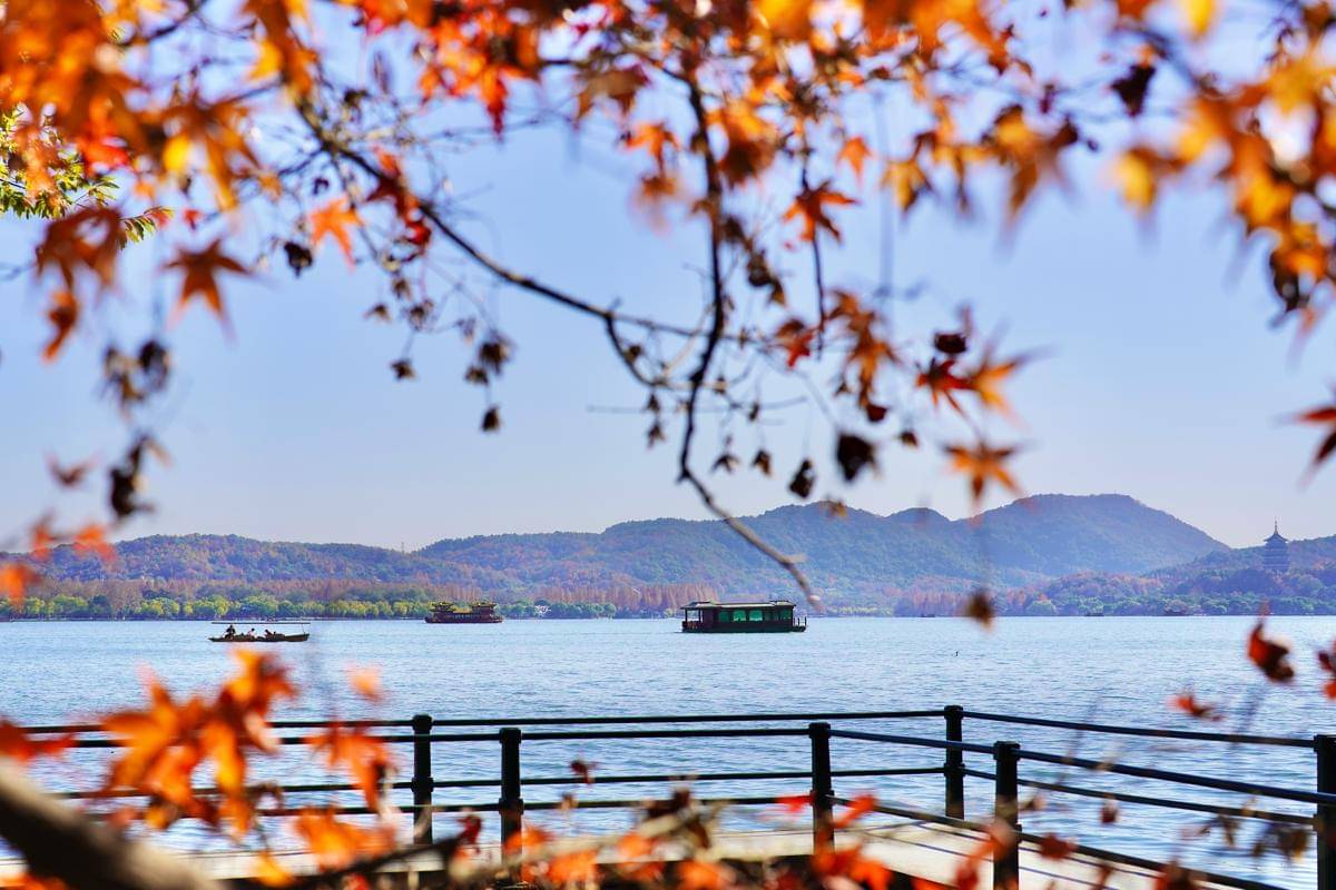 Colosseum, Roma: Lokasi, Rute, Jam Buka, Harga Tiket Masuk, dan Tips ...