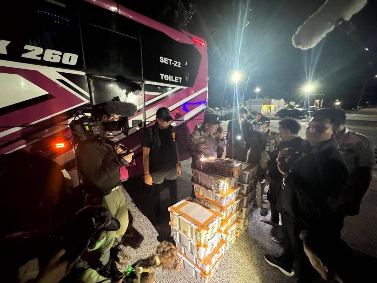 Modus Lama Terulang, Ratusan Burung Ilegal Disita di Bakauheni | IDN ...