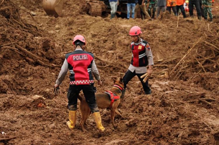 Daftar 11 Korban Meninggal Longsor Cilacap, Sudah Ada Warning Sejak ...