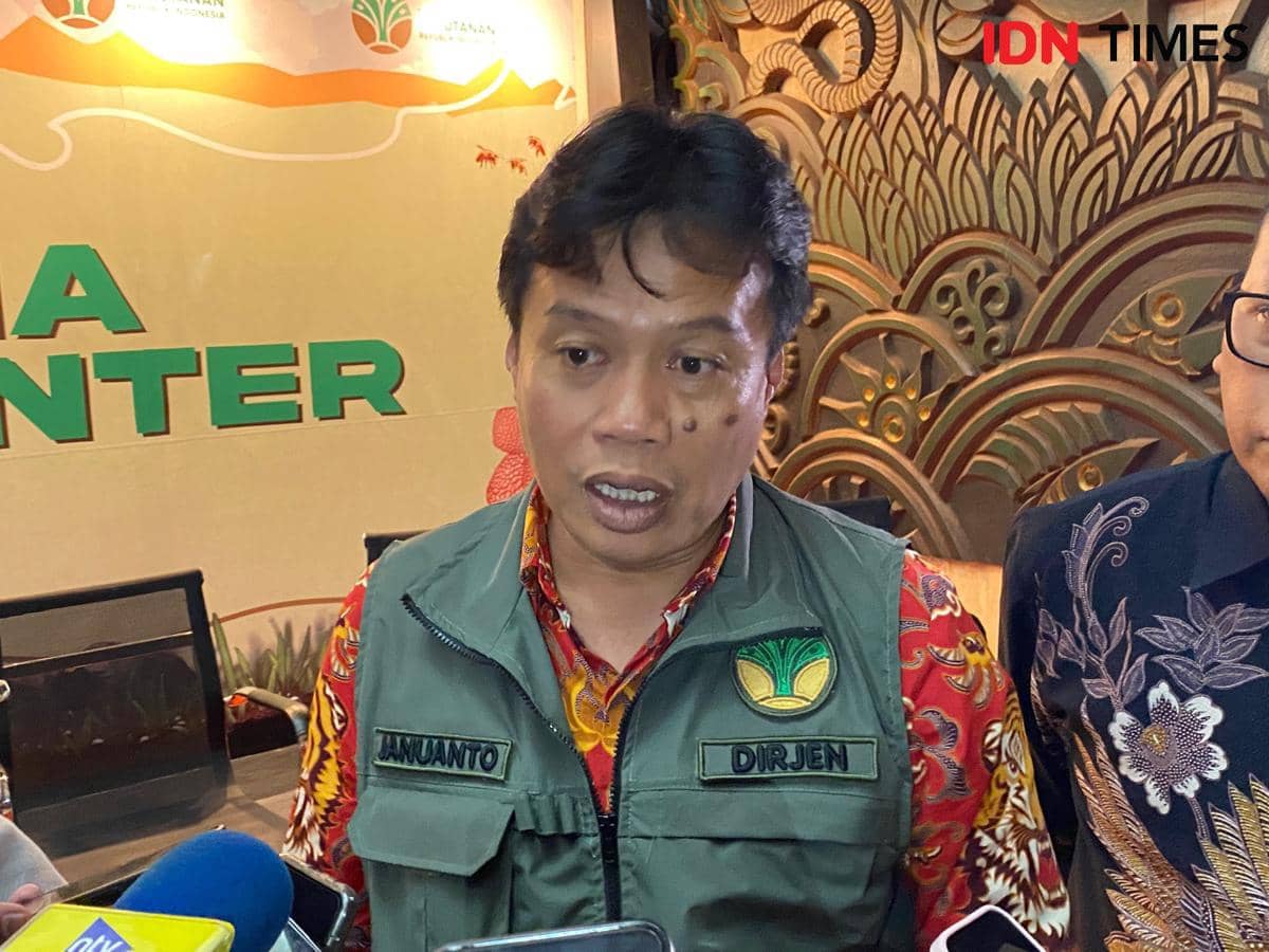 Kemenhut Sebut Gelondongan Kayu Terbawa Banjir di Sumut dari PHAT di ...