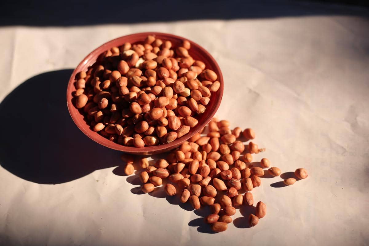 Resep Rempeyek Kacang Renyah dan Gurih: Rahasia Kriuk Anti Melempem ...