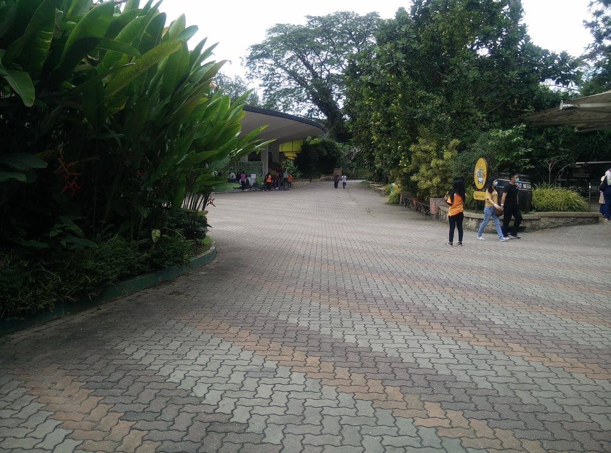 Zoo Negara, Malaysia: Lokasi, Rute, Jam Buka, HTM, dan Tips | IDN Times